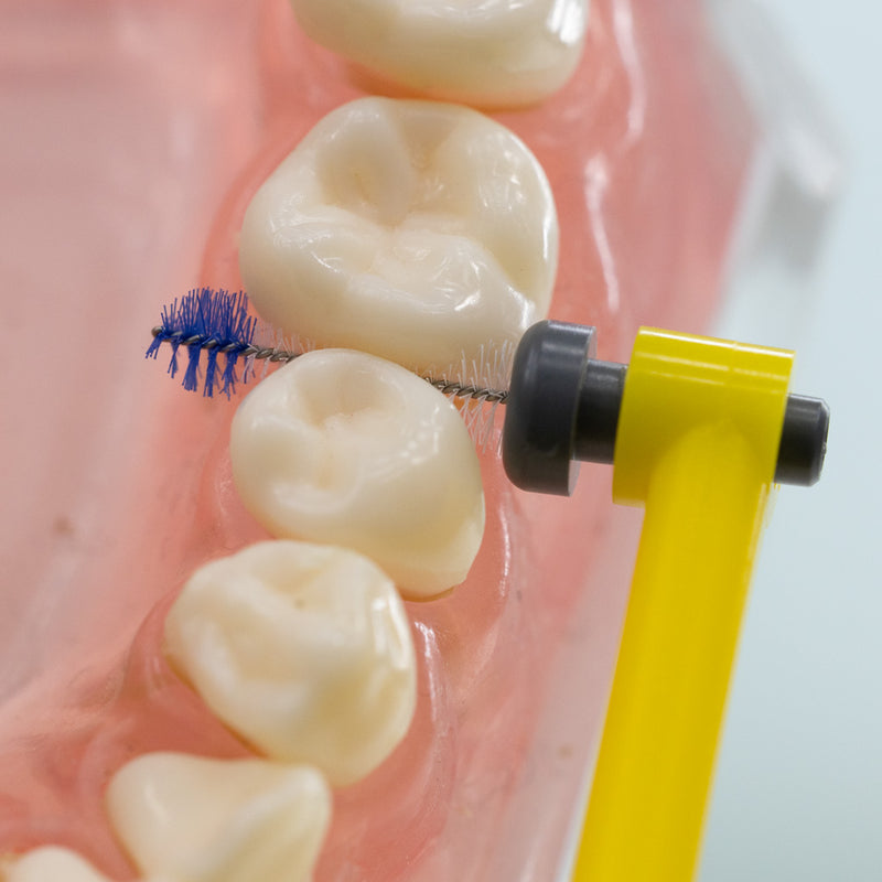 Top Caredent – Interdentalbürsten & Zahnpflege vom Experten